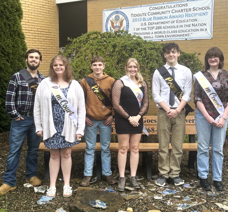 TCCS announces prom court | News, Sports, Jobs - Times Observer